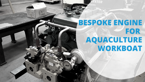 Bespoke build engine package for Aquaculture Workboat - Water Mota